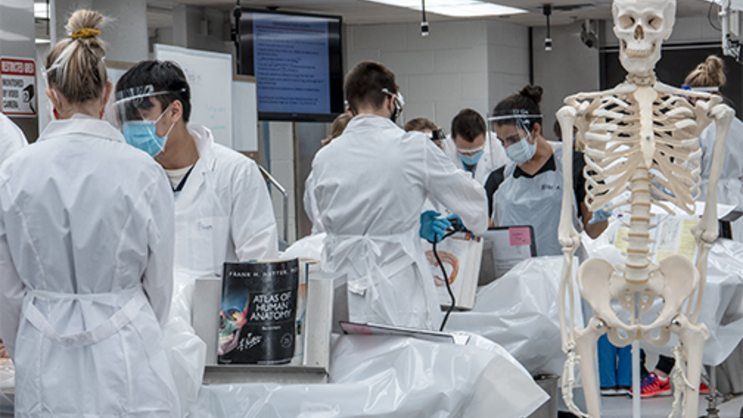 Master of Clinical Anatomy Program | Department of Anatomy and Cell ...